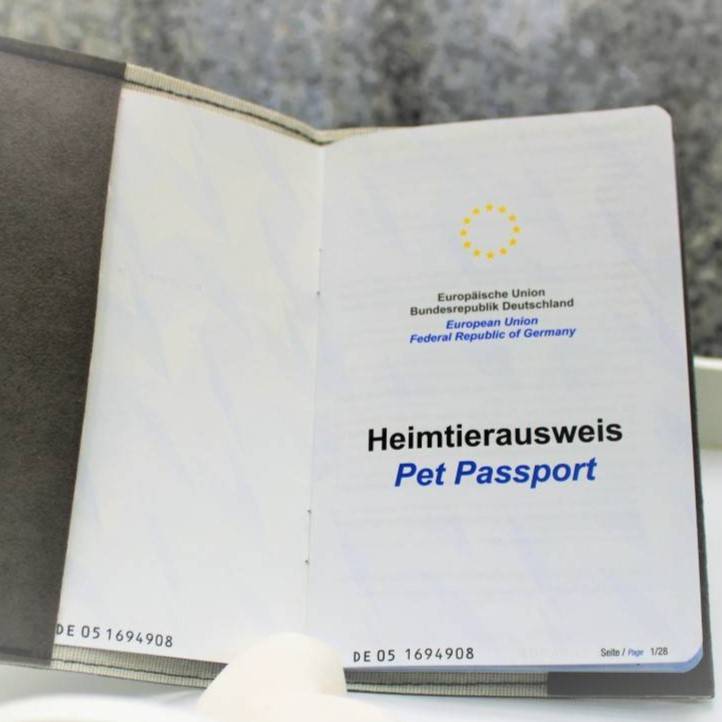 Impfpass-Hülle für Katze, Impfausweis EU Tierausweis,