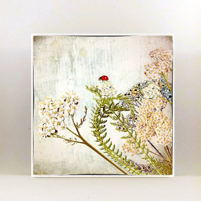 Ants - Bildermanufaktur Wieka Bloom | ein kasuwa-Shop