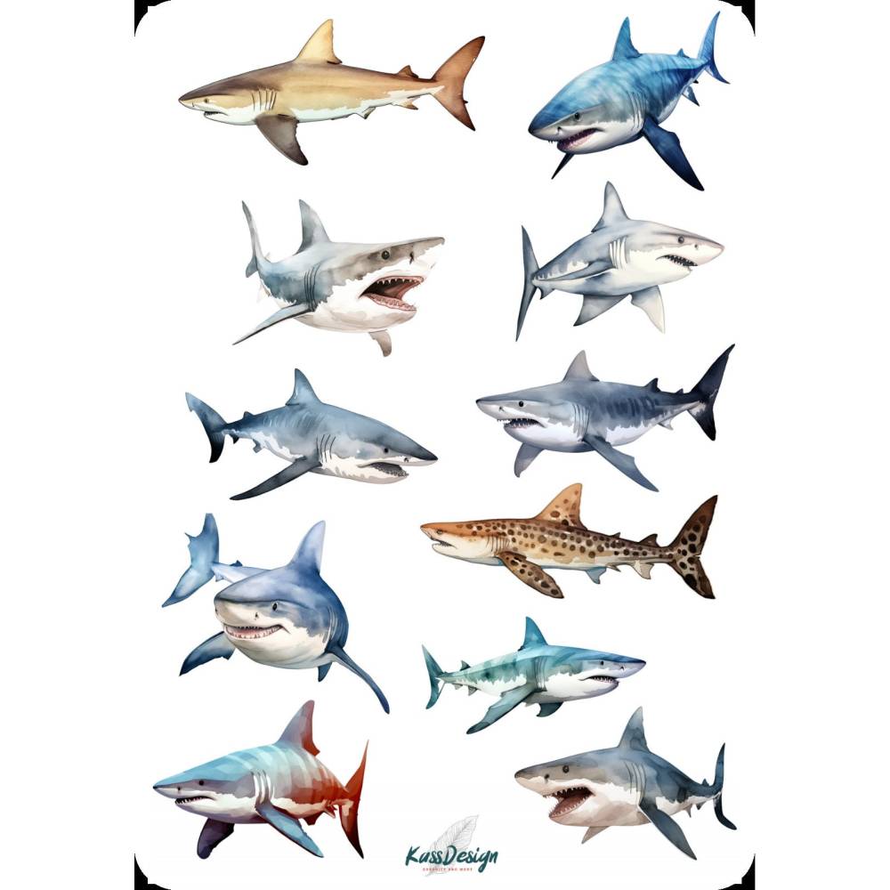 Sticker Set Haie