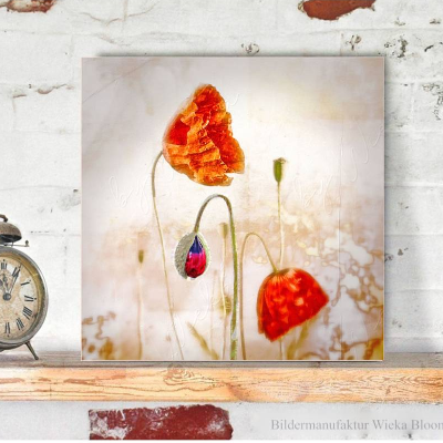 Ants - Bildermanufaktur Wieka Bloom | ein kasuwa-Shop