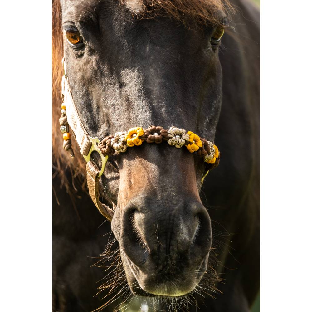 Pferdehalfter "Bouqet" Halfter Flechthalfter Paracord geflochten Pferd ...