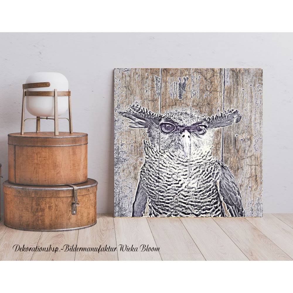 EULE RUSTIKAL Waldtiere Vögel Wandbild auf Holz Leinwandbild