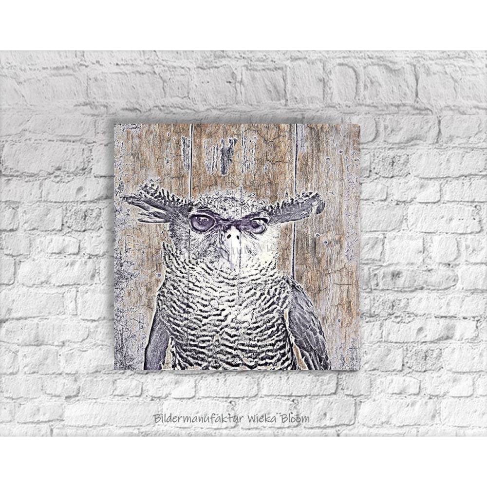 EULE RUSTIKAL Waldtiere Vögel Wandbild auf Holz Leinwandbild