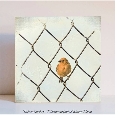 SCHMETTERLING & FLAX Blumenbild im Landhausstil auf Holz