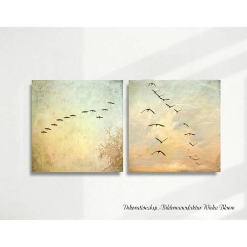 Marienkäfer Flügeltiere Bild auf Holz Leinwand Kunstdruck