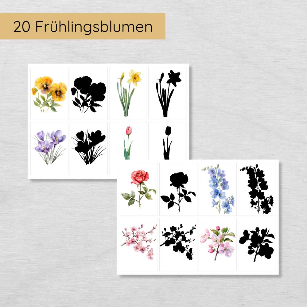 Blumen Schatten Zuordnungsspiel für Kinder zum Ausdrucken ...