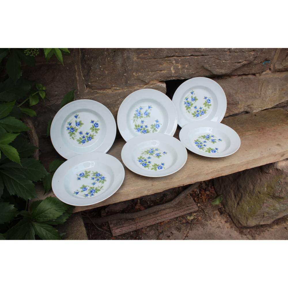 6 Suppenteller Blumendekor Colditz Porzellan 70er 80erJahre DDR