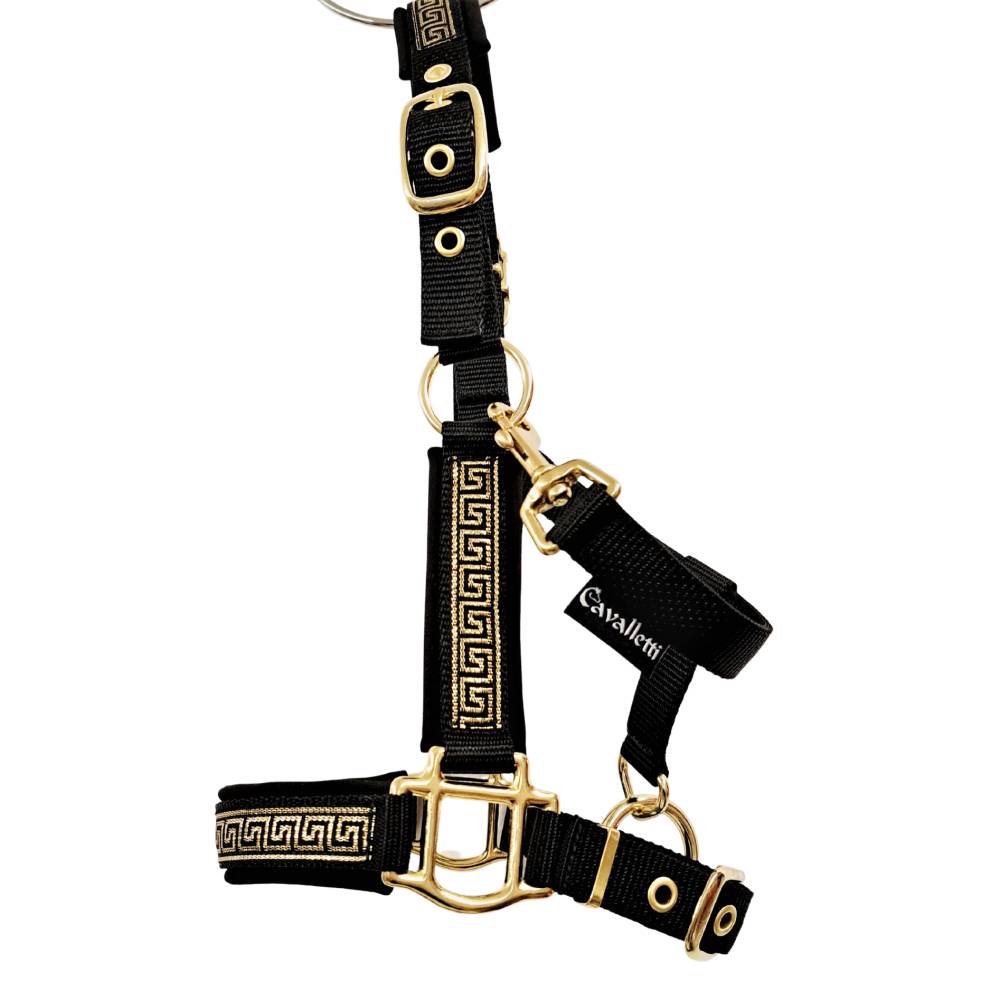 Halfter Shetty XS Zeus Pferdehalfter Größe Shetty XS schwarz gold