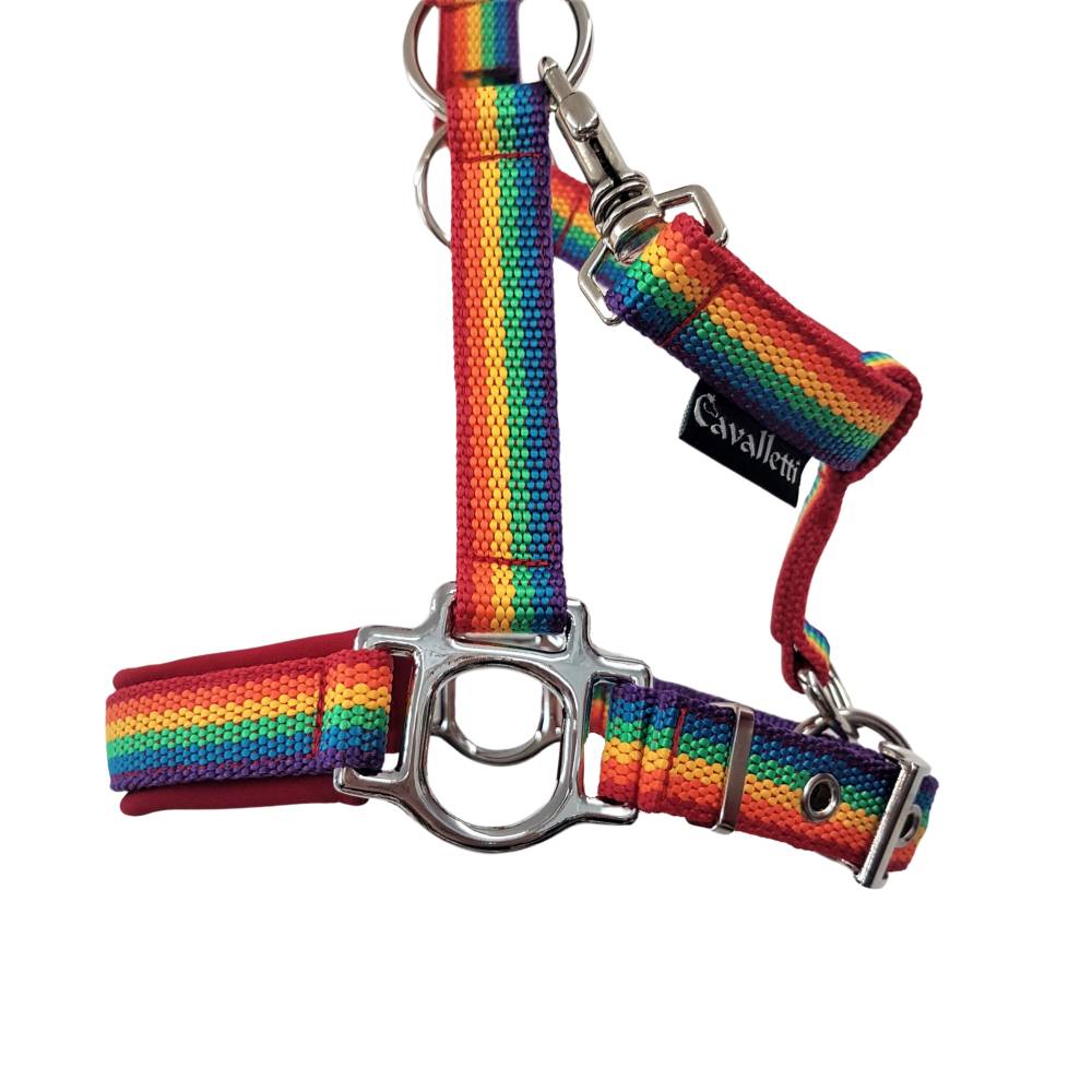 Halfter Shetty XS Regenbogen Pferdehalfter Größe Shetty XS bunter ...