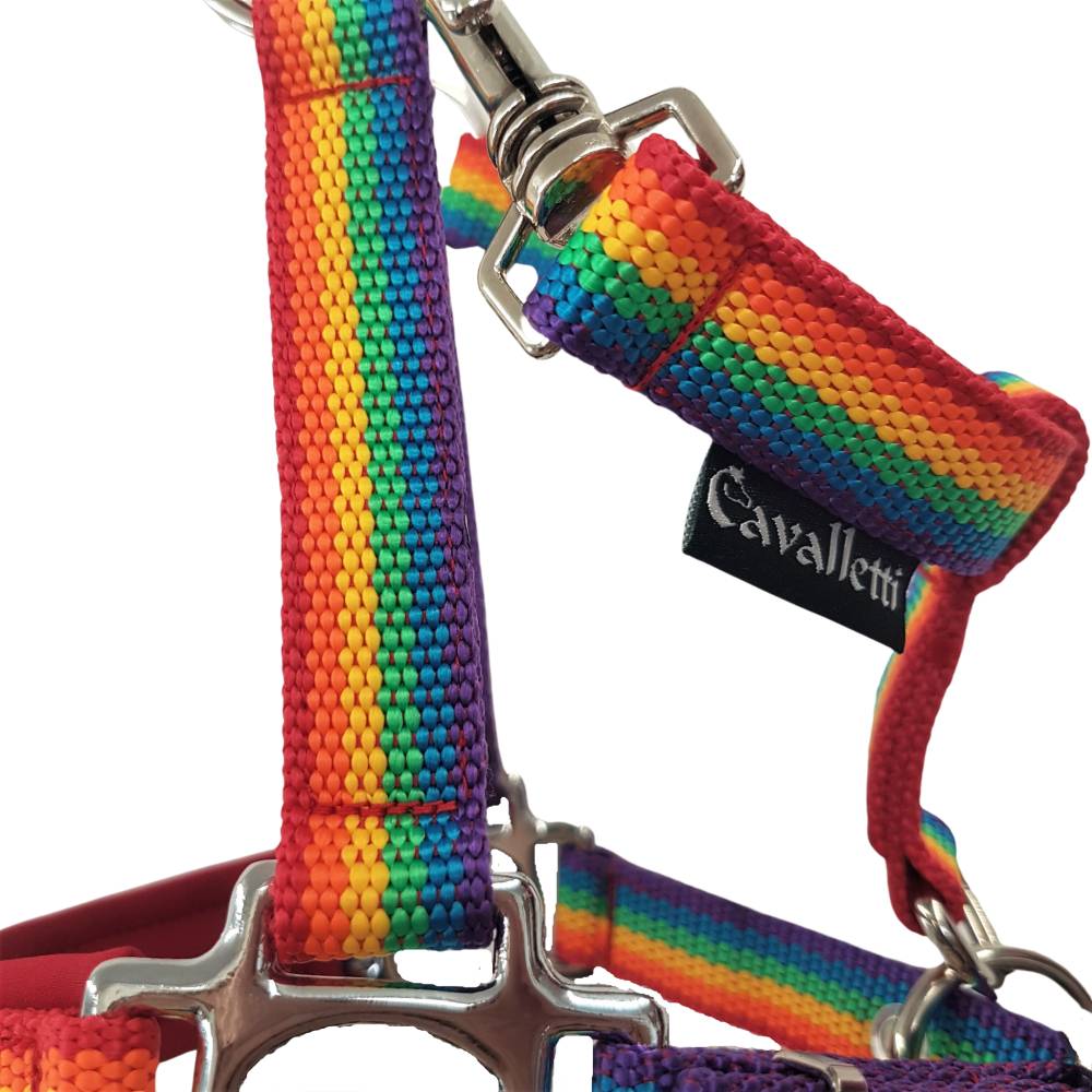 Halfter Shetty XS Regenbogen Pferdehalfter Größe Shetty XS bunter ...