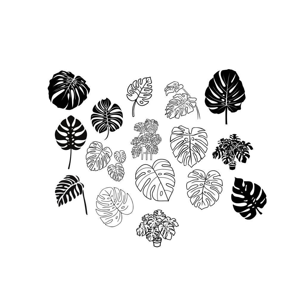 Monstera Bundle PNG SVG Datei - Download Plotterdatei - Plotter File - Pflanze Plant ...