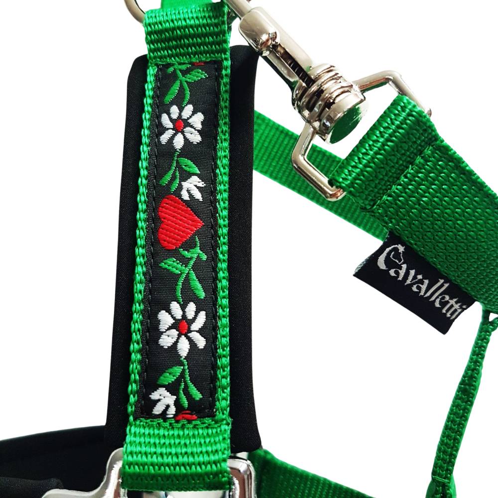 Halfter Shetty XS Peter Pferdehalfter Halfter Shetty XS grün schwarz