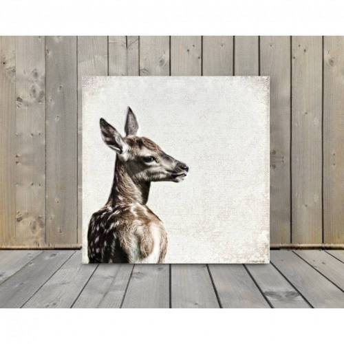 3er Set WALDTIERE OLD STYLE Bild auf Leinwand Holz Print