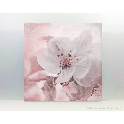 SCHMETTERLING & FLAX Blumenbild im Landhausstil auf Holz Leinwand Kunstdruck Wanddeko Vintage ...