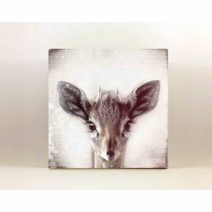 SCHMETTERLING & FLAX Blumenbild im Landhausstil auf Holz