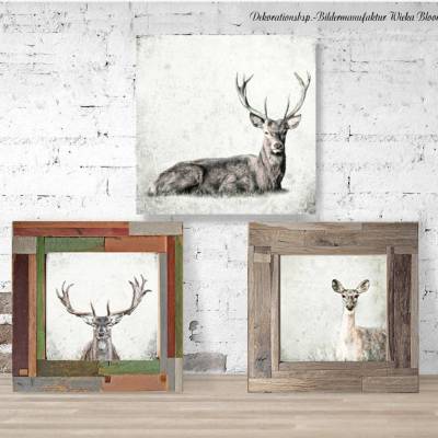 3er Set WALDTIERE OLD STYLE Bild auf Leinwand Holz Print