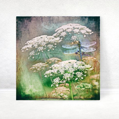 KAROTTENBLÜTEN Wanddeko Blumenbild Landhausstil Kunstdruck