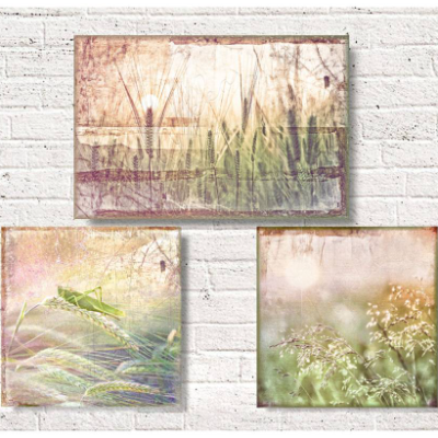 3er Set WALDTIERE OLD STYLE Bild auf Leinwand Holz Print