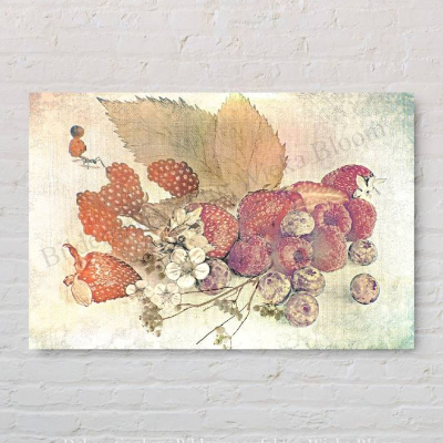 SCHMETTERLING & FLAX Blumenbild im Landhausstil auf Holz