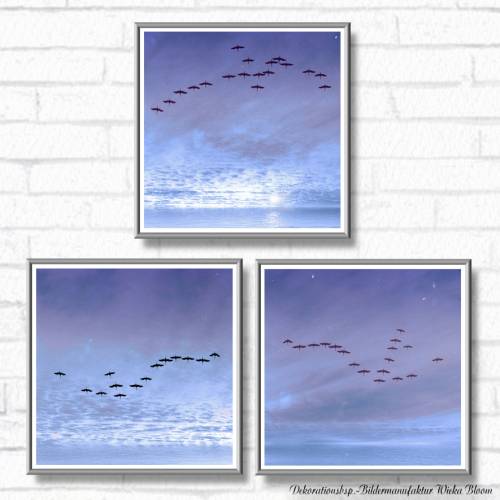 KAROTTENBLÜTEN Wanddeko Blumenbild Landhausstil Kunstdruck