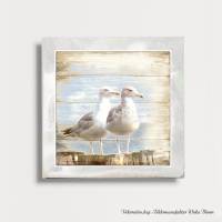 ZWEI MÖWEN Maritimes Bild auf Holz Leinwand Print Wanddeko Landhausstil Vintage Shabby Chic ...