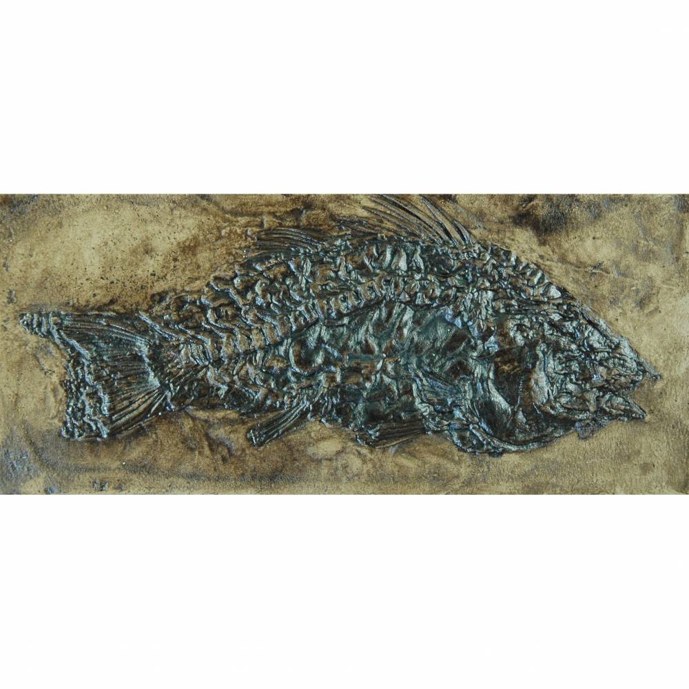 Fisch Fossil aus der Grube Messel Amphiperca multiformis Replik