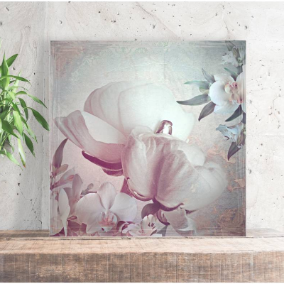 KAROTTENBLÜTEN Wanddeko Blumenbild Landhausstil Kunstdruck