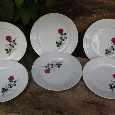 6er Set Kuchenteller Dessertteller Nymphen Goldrand