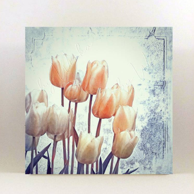 Ants - Bildermanufaktur Wieka Bloom | ein kasuwa-Shop