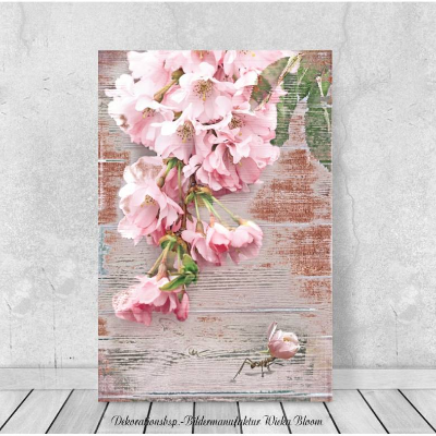 FLIEGENPILZE Herbstzeit Bild auf Holz Leinwandbild Kunstdruck Wanddeko Landhausstil Shabby Chic ...