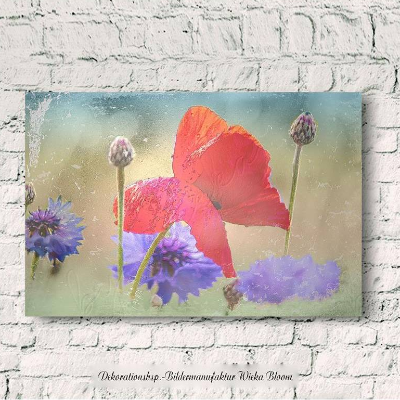 SCHMETTERLING & FLAX Blumenbild im Landhausstil auf Holz