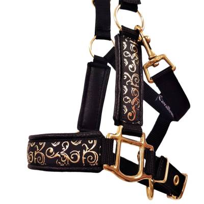 Cavalletti-Feines für's Pferd | ein kasuwa-Shop