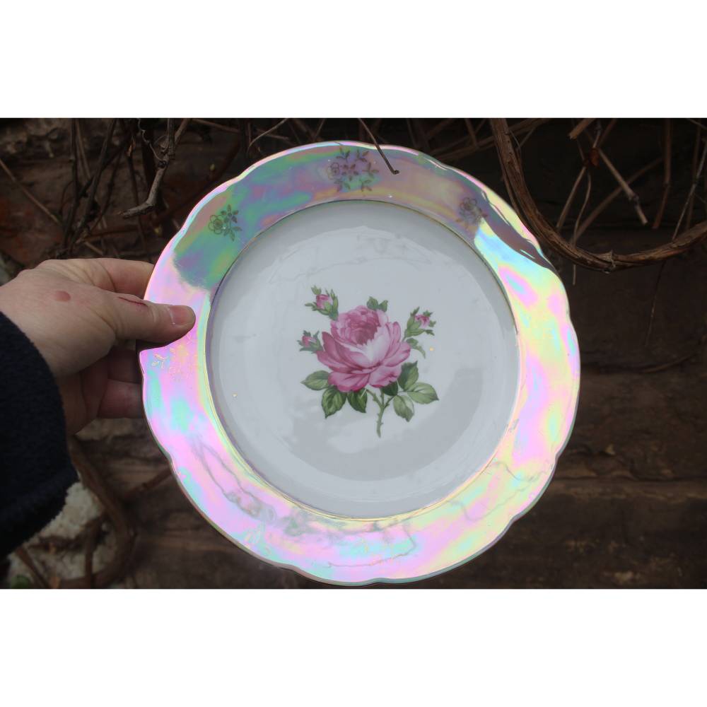 6er Set Speiseteller Rosen Goldrand Perlmutt Kahla Porzellan