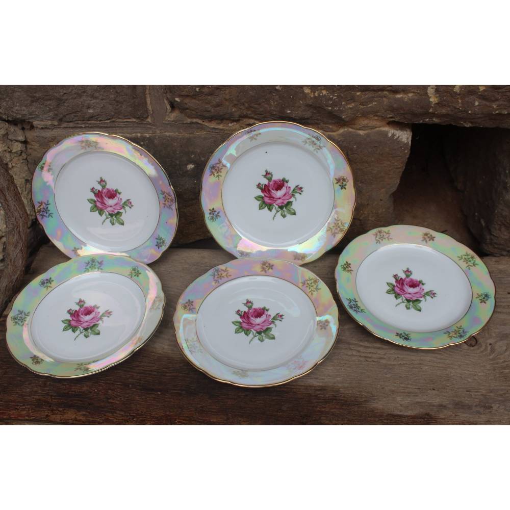 Kuchenteller Dessertteller Set Rosen Goldrand Perlmutt Kahla Porzellan 50er 60er Jahre GDR DDR
