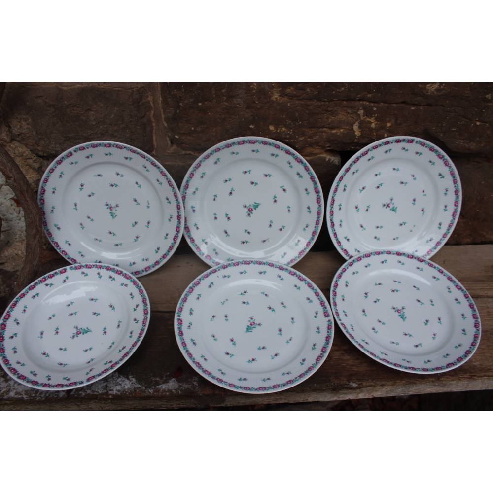 6er Set 5 Speiseteller 1 Suppenteller Handbemalt Blüten Dekor Kahla Porzellan DDR