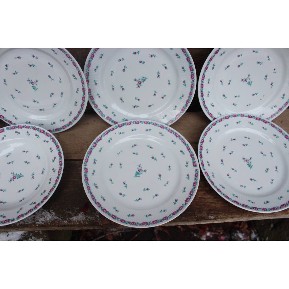 6er Set 5 Speiseteller 1 Suppenteller Handbemalt Blüten Dekor Kahla Porzellan DDR