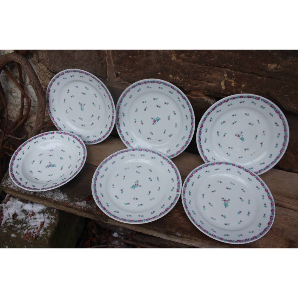6er Set 5 Speiseteller 1 Suppenteller Handbemalt Blüten Dekor Kahla Porzellan DDR