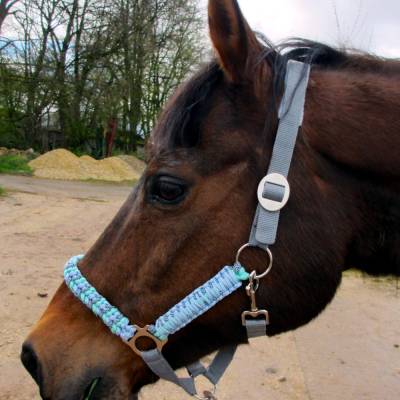 Pferdehalfter "Ice Blue" Halfter Pferd Stallhalfter