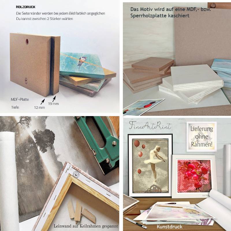 KOLIBRIS & BLÜTEN 3er Set auf Leinwand Holz Kunstdruck Wandbild