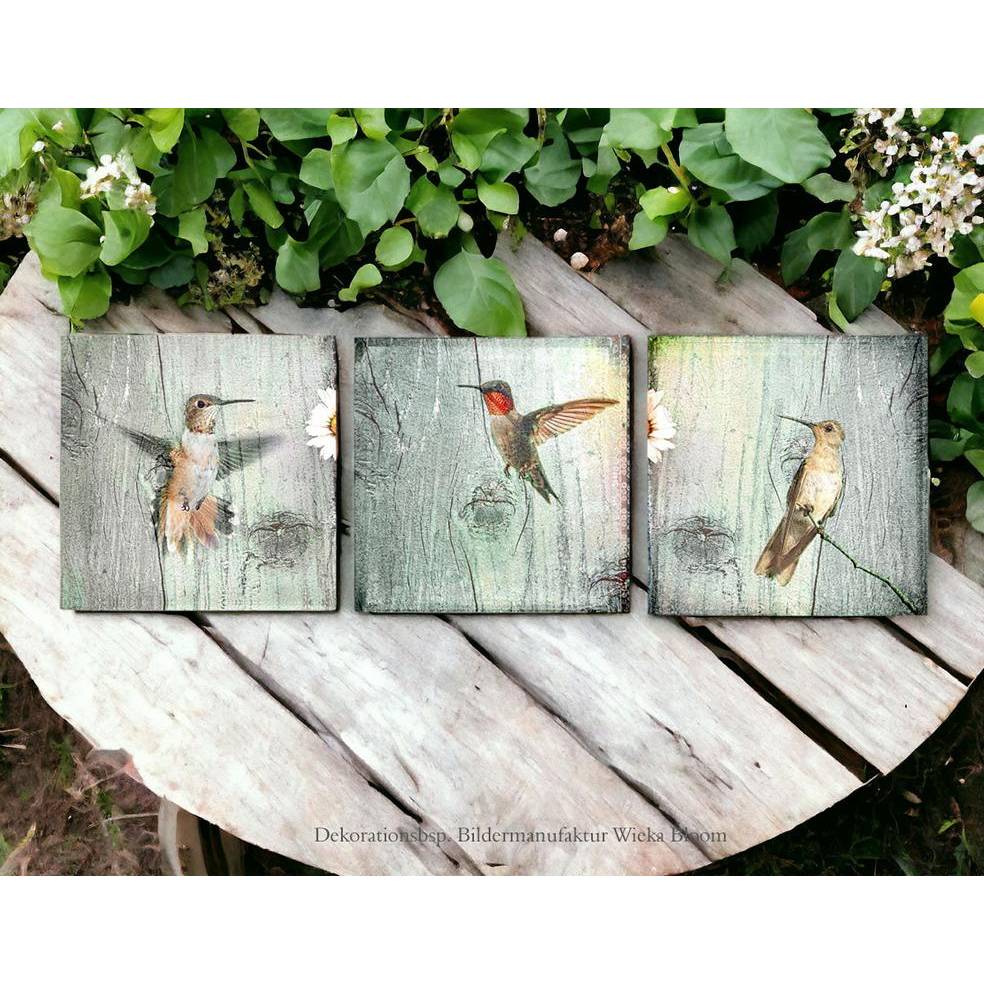 KOLIBRIS & BLÜTEN 3er Set auf Leinwand Holz Kunstdruck Wandbild