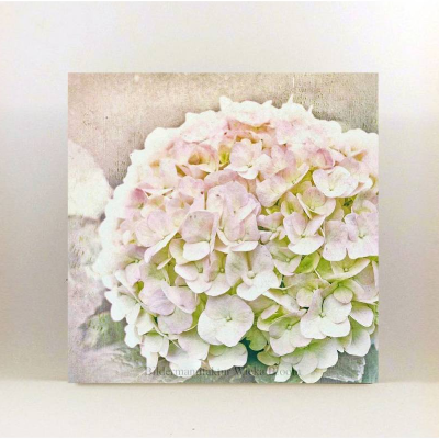 Ants - Bildermanufaktur Wieka Bloom | ein kasuwa-Shop