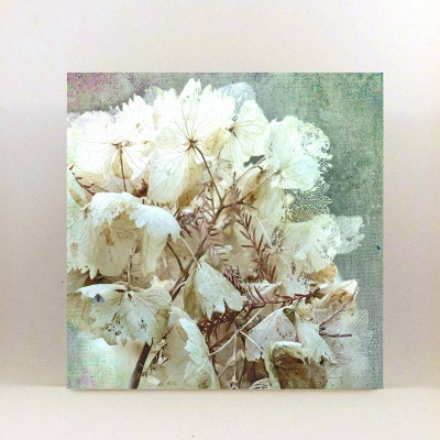 Ants - Bildermanufaktur Wieka Bloom | ein kasuwa-Shop